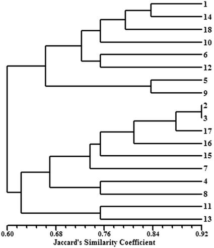 Dendrogram Of 18 Table Olive Cultivars Generated By Unweighted Pair