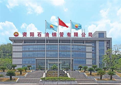 改革风劲催潮涌奋楫扬帆正当时三 发展 公司 钢管