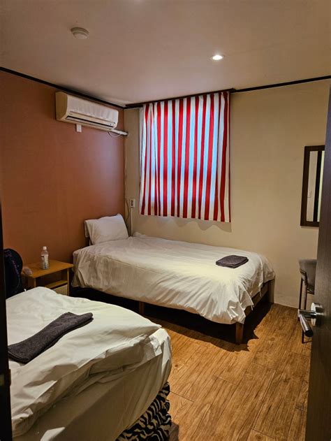 숙소여수 쉼표더하기 게스트하우스 숙박 및 파티 후기 네이버 블로그