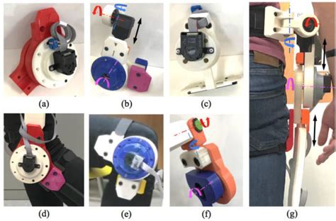 Joint System Components A Lateral View Of The Single Hinge Knee