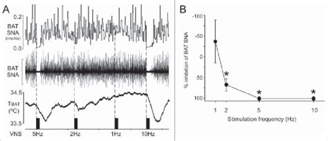 Electrical Stimulation Of Afferent Fibers In The Cervical Vagus Nerve