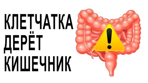 МИФ 2 Клетчатка Дерёт Кишечник При ЯЗВЕННОМ КОЛИТЕ Обязательно к