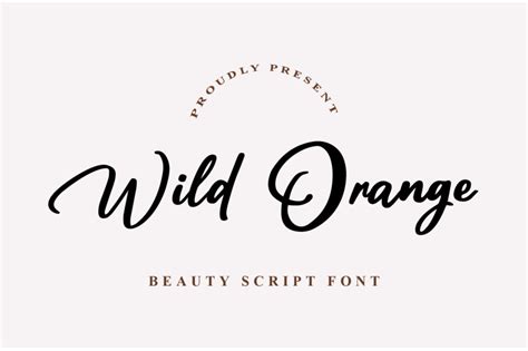 Wild Orange Modern Script Font By Fontysia TheHungryJPEG
