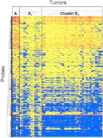 Unsupervised Two Dimensional Hierarchical Clustering Analysis Based On