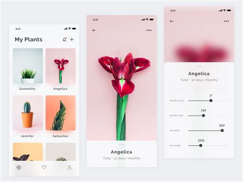 Plants App Concept Sketch Freebie Freebbble