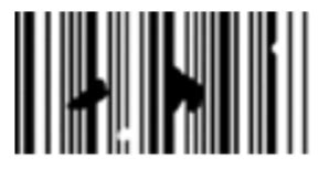 ISO IEC 15416 ANSI X3 182 Grading Parameters
