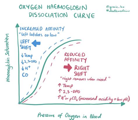 Oxygen Hemoglobin Dissociation Curve