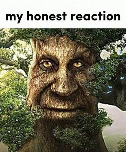 My Honest Reaction Know Your Meme