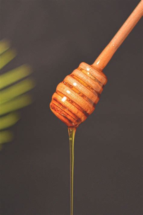 Honey Sweet Delicious Free Photo On Pixabay Pixabay