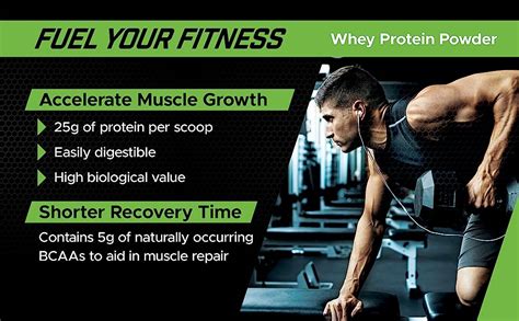 Swanson Full Potential Whey Protein Chocolate Health