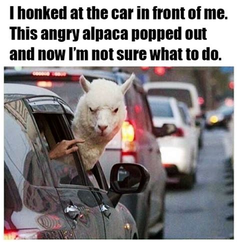Rolling On The Floor Laughing Funny Images