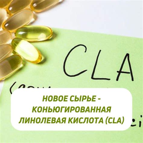 Конъюгированная линолевая кислота