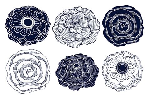 플로럴 실루엣과 리니어 아트 디자인 장미 말미잘 모란 꽃이 있는 인테리어 스티커 프린트 초대 카드 와 부티크 로고를위한 식물 꽃 장식 0명에 대한 스톡 벡터 아트 및 기타