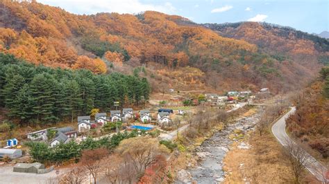 가평 산책 애견동반 글램핑 펜션