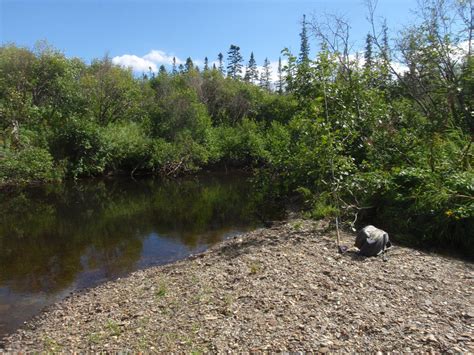 Rangeley Region Fishing Report August 28 2020 Rangeley Region