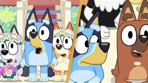 Bluey Praised For Introducing Its First Same Sex Couple In The Popular Shows Third Season Finale