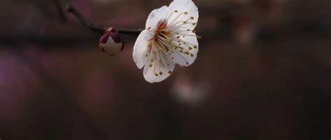 大模型已经淘汰 Nlp 工程师了吗？ 知乎