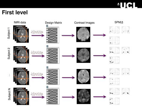 Methods For Dummies Second Level Analysis For Fmri Ppt Download
