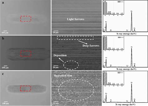 Sem And Eds Analysis Of Worn Surface Of The Disc Lubricated By Pao10g Download Scientific