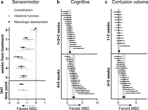 Summary Of Sensorimotor Cognitive And Anatomical Outcomes Forest