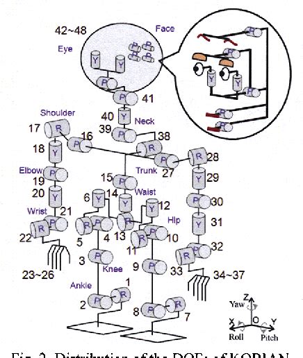 Figure 10 From Design Of The Humanoid Robot Kobian Preliminary