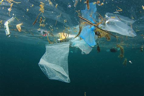 La Solución Para El Problema De La Contaminación Plástica Es Un Tratado