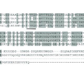 Effect Of Du Mutation Wx B Intron Splicing A RT PCR Analysis
