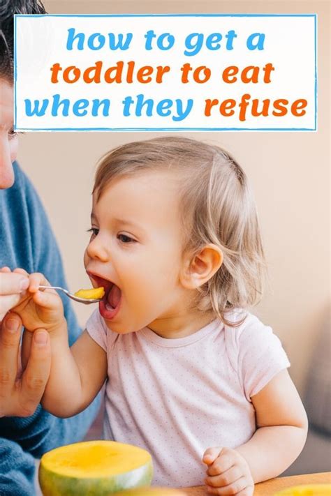 How to get a toddler to eat when they refuse - lots of tips and tricks from a mom of an ...