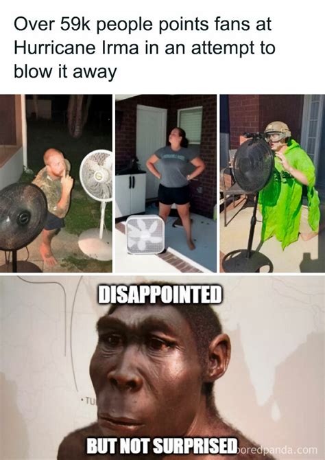 People Are Making Fun Of Evolution Of Pretty Much Everything With 40
