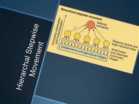 4 Migration Models Or Laws Ppt