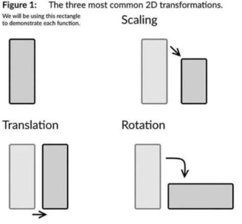 Most Common D Transformations R Mathmemes