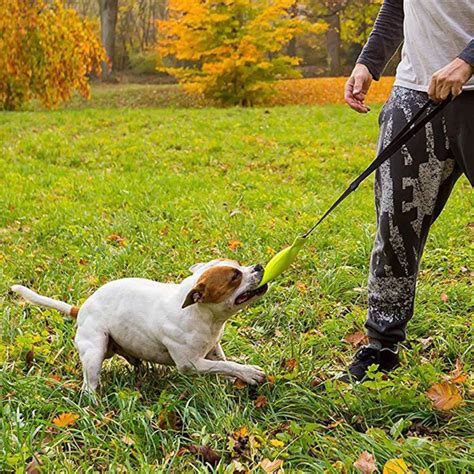 Robust Pet Bites Chew Stick With Handle Toy In Fir Grandado
