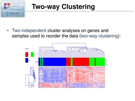 Ppt Clustering Powerpoint Presentation Free Download Id2624551