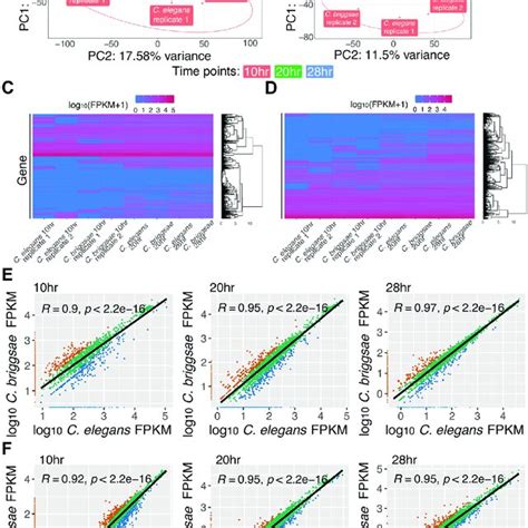 Nematocida Gene Expression In Different Host Species Principal