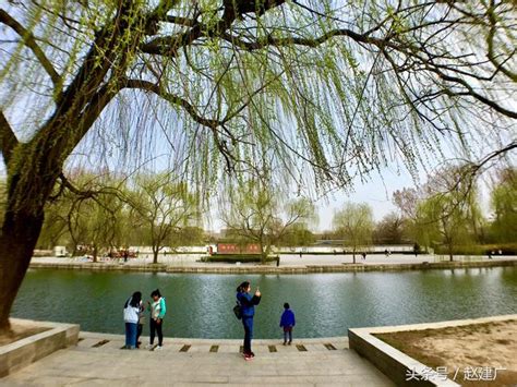 春天到了走進達活泉公園 每日頭條