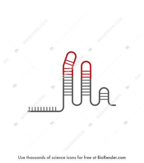 Free Spcas9 Sgrna 2 Icons Symbols And Images Biorender