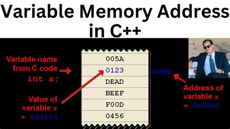 c program to print variable address in memory how data is stored in