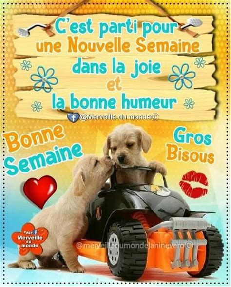 Épinglé par Nicaise sur citations Image bonne journée Bonjour du