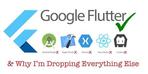 深入理解flutter的编译原理与优化 程序师 程序员、编程语言、软件开发、编程技术