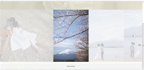 Jquery Show Next And Prev Image Partially In Carousel With Different
