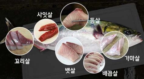 인천 방어회 가격 및 방어 부위별 맛 차이 대방어 포장 네이버 블로그