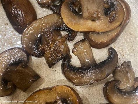 Roasted Mushroom Ravioli With Marsala Cream Sauce
