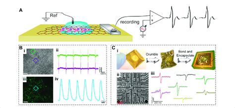 graphene microelectrode arrays a schematic of an download