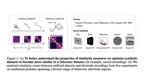 Decoding Similarity A Framework For Analyzing Neural And Model Representations Marktechpost