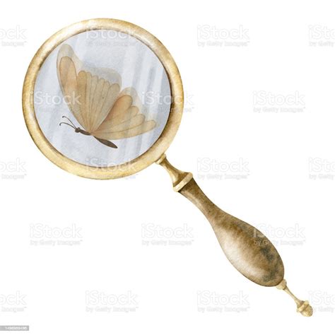 나비가 있는 레트로 돋보기 손으로 그린 수채화 그림은 하얀 고립된 배경에 빈티지 돋보기로 그려져 있다 아이콘이나 로고를 위한 곤충이 있는 확대경 그리기 수색 장비 검사