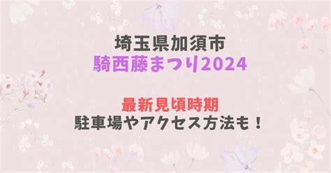 加須市騎西藤まつり2024の最新見頃時期は？駐車場やアクセス方法も！ だんぱぱ ブログ