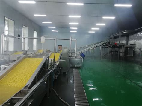 烟台凯晨机械设备有限公司 信息详情 玉米粒速冻加工流水线