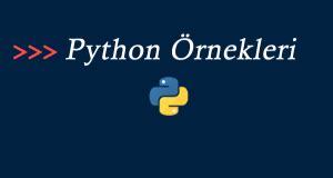 Python Programlama Dili ile While Örnekleri Yazılım Aktif