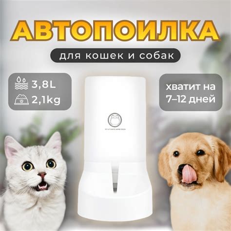 Автопоилка для кошек и собак / автоматическая поилка для домашних ...