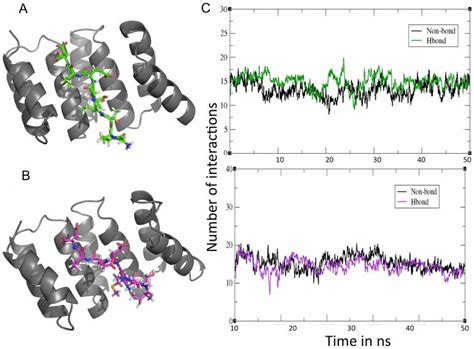 A The Tpr Domain With Bound Octapeptide From Hsp70 Green B The Tpr